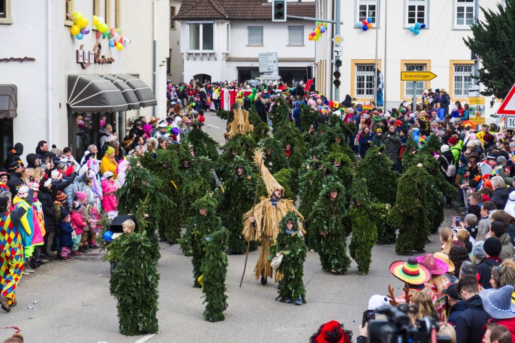 Fasnetsumzug - Donzdorfer Fasnet